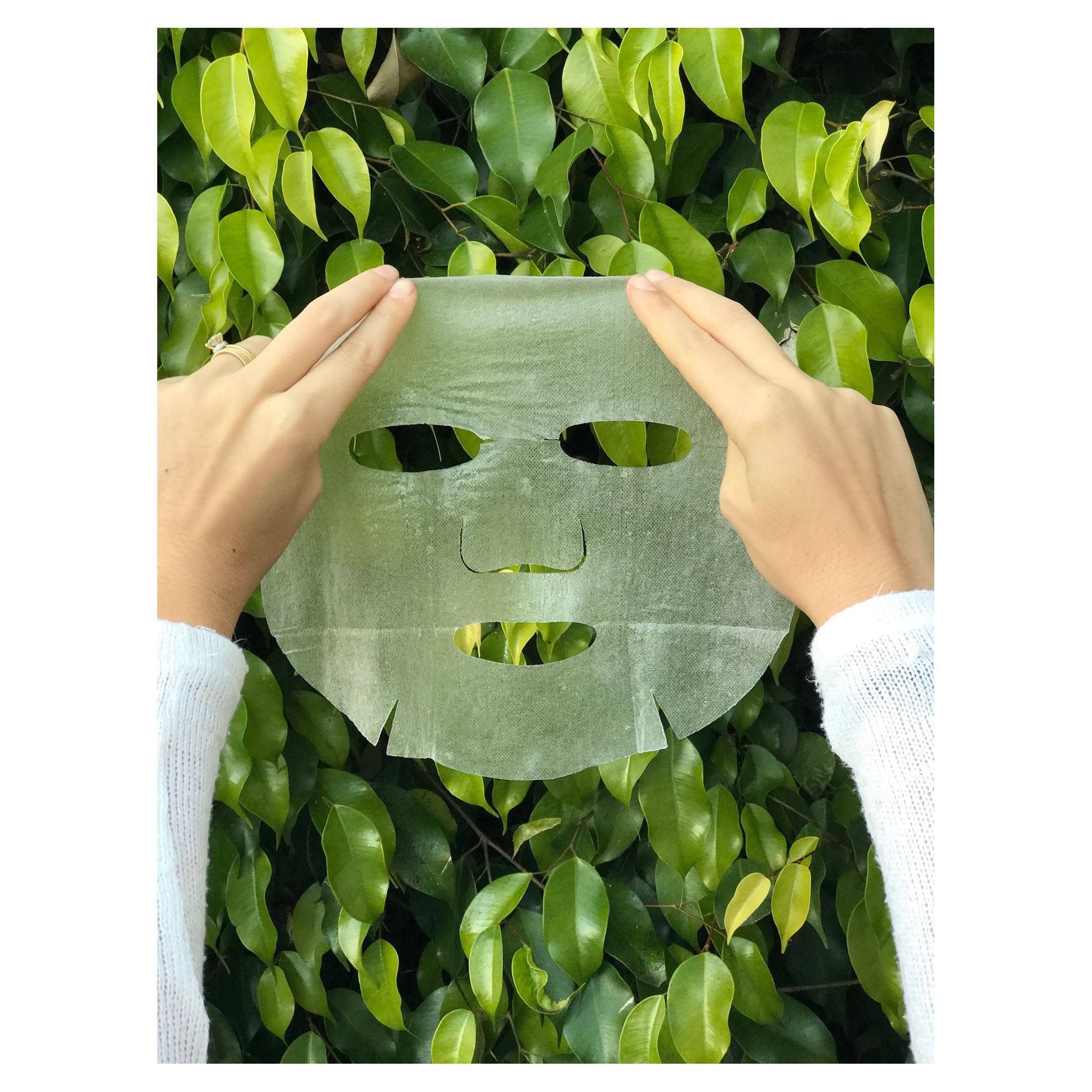 The Aqua Mask – Skinesque